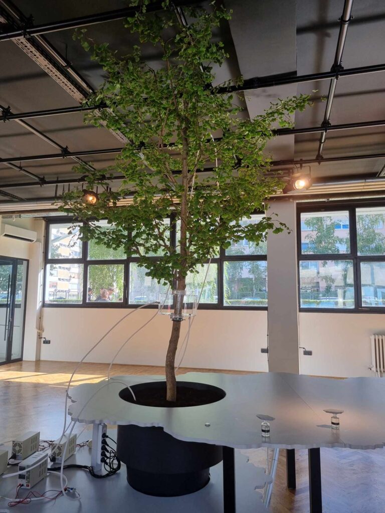 “How To Become A Tree For Another Tree” – Greenoteka
